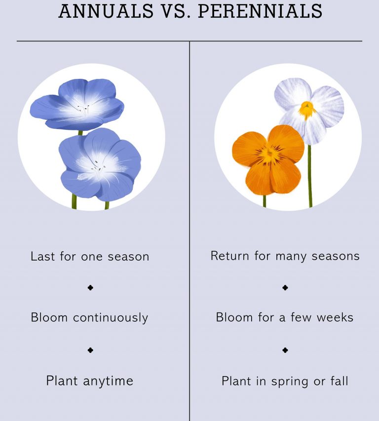 Can Perennials Grow Through Landscape Fabric