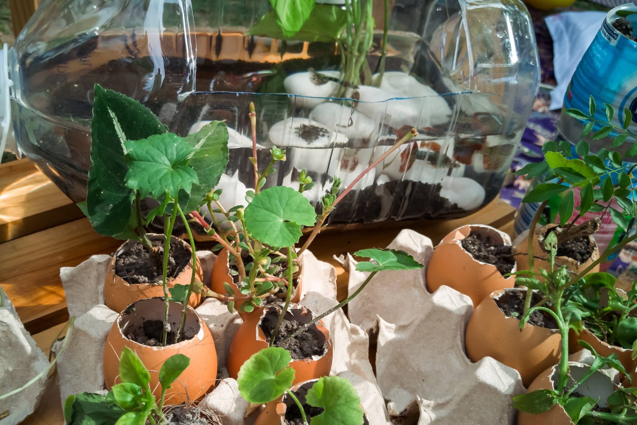 22 Landscaping Ideas Using Recycled Materials